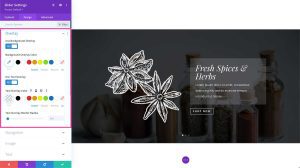 The Divi Slider Module | Elegant Themes Documentation