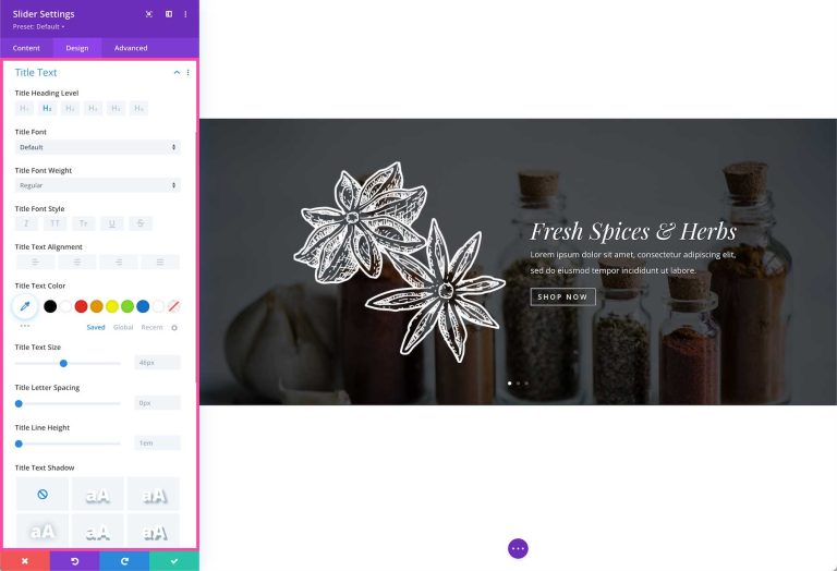 The Divi Slider Module | Elegant Themes Documentation