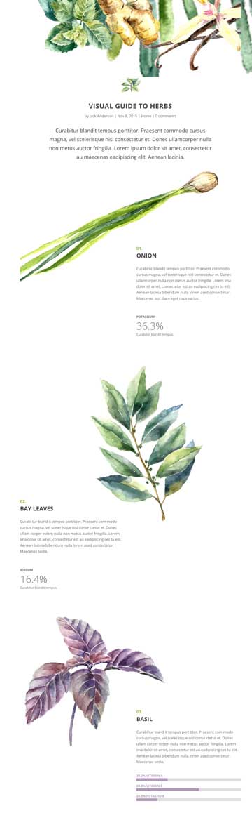 Extra Drag & Drop Magazine WordPress Theme | Elegant Themes