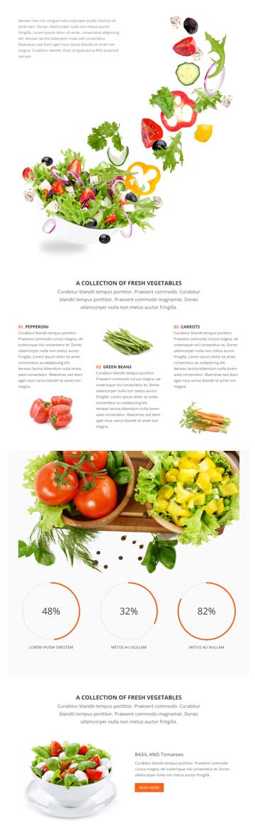 Extra Drag & Drop Magazine WordPress Theme | Elegant Themes