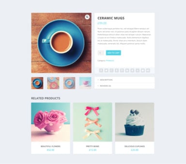 Extra Drag & Drop Magazine WordPress Theme | Elegant Themes