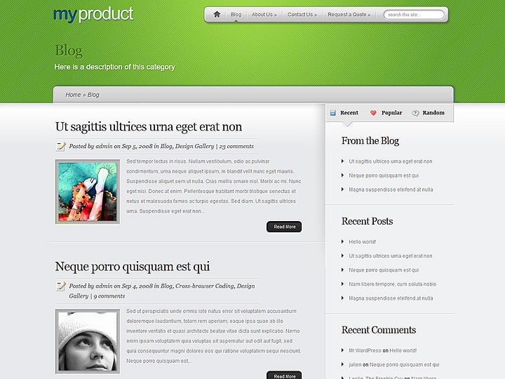 MyProduct WordPress Theme