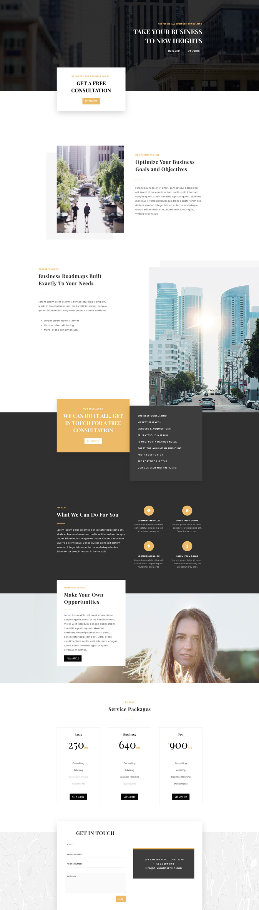Business Consultant Landing Page Divi Layout by Elegant Themes