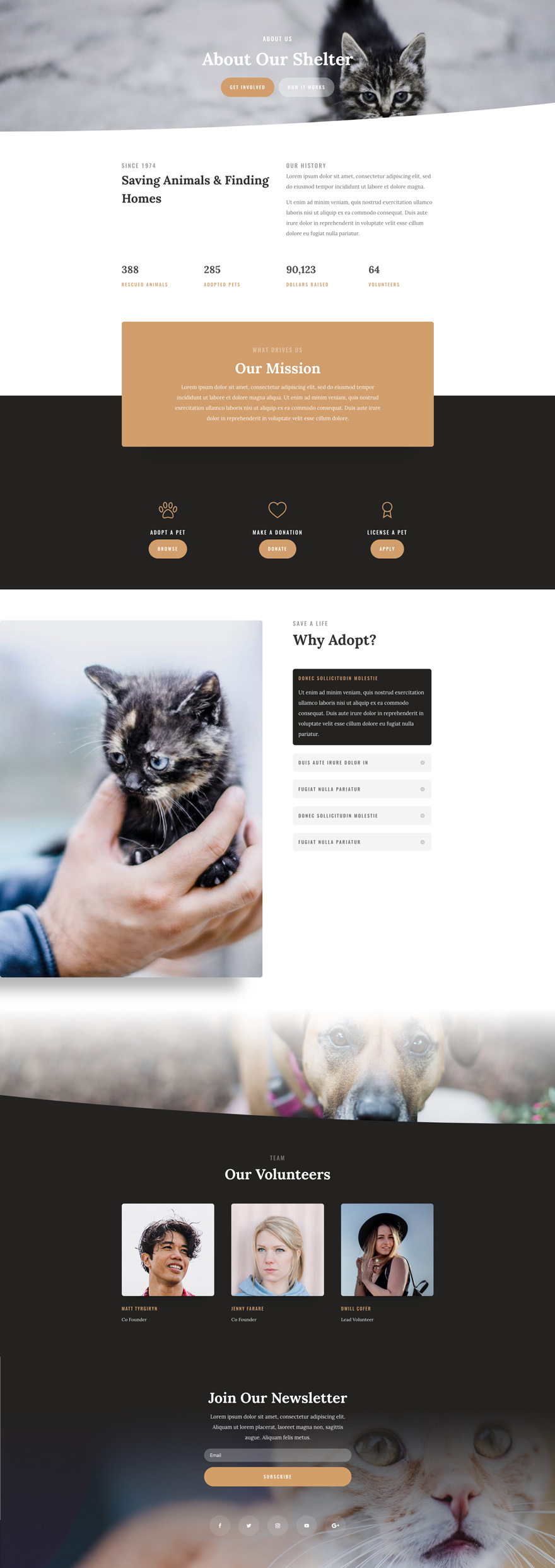 Animal Shelter About Page Divi Layout by Elegant Themes