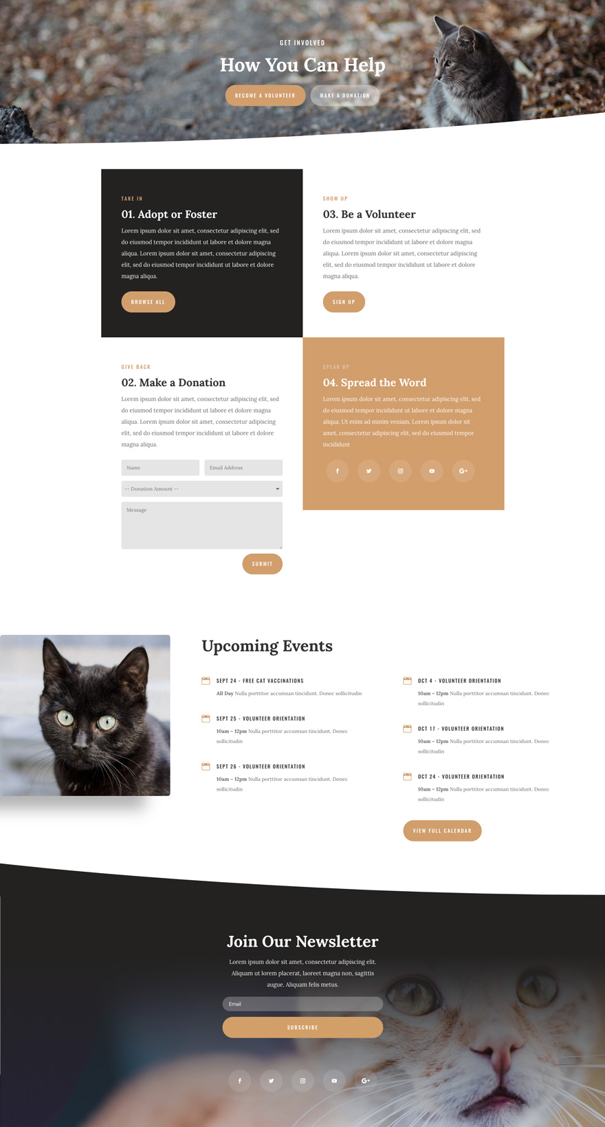 Animal Shelter Get Involved Page Divi Layout by Elegant Themes