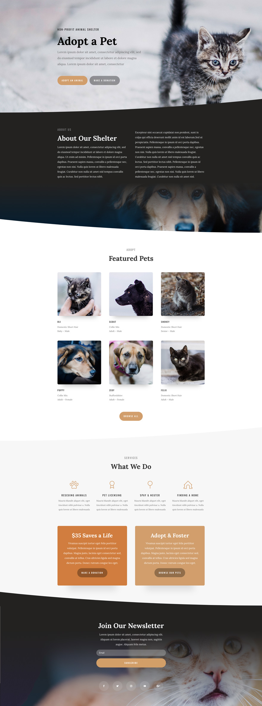 Animal Shelter Home Page Divi Layout by Elegant Themes