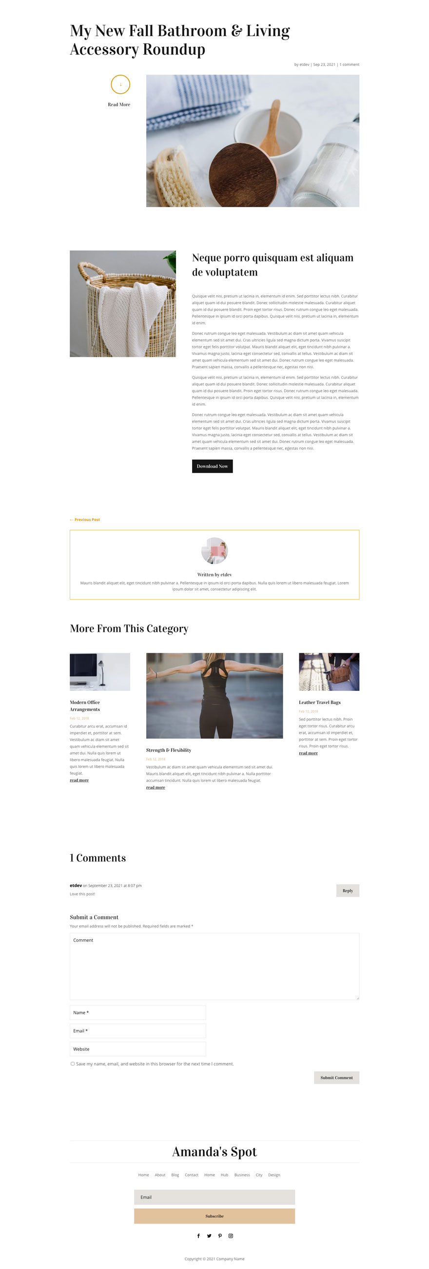 Blogger Post Page Divi Layout by Elegant Themes