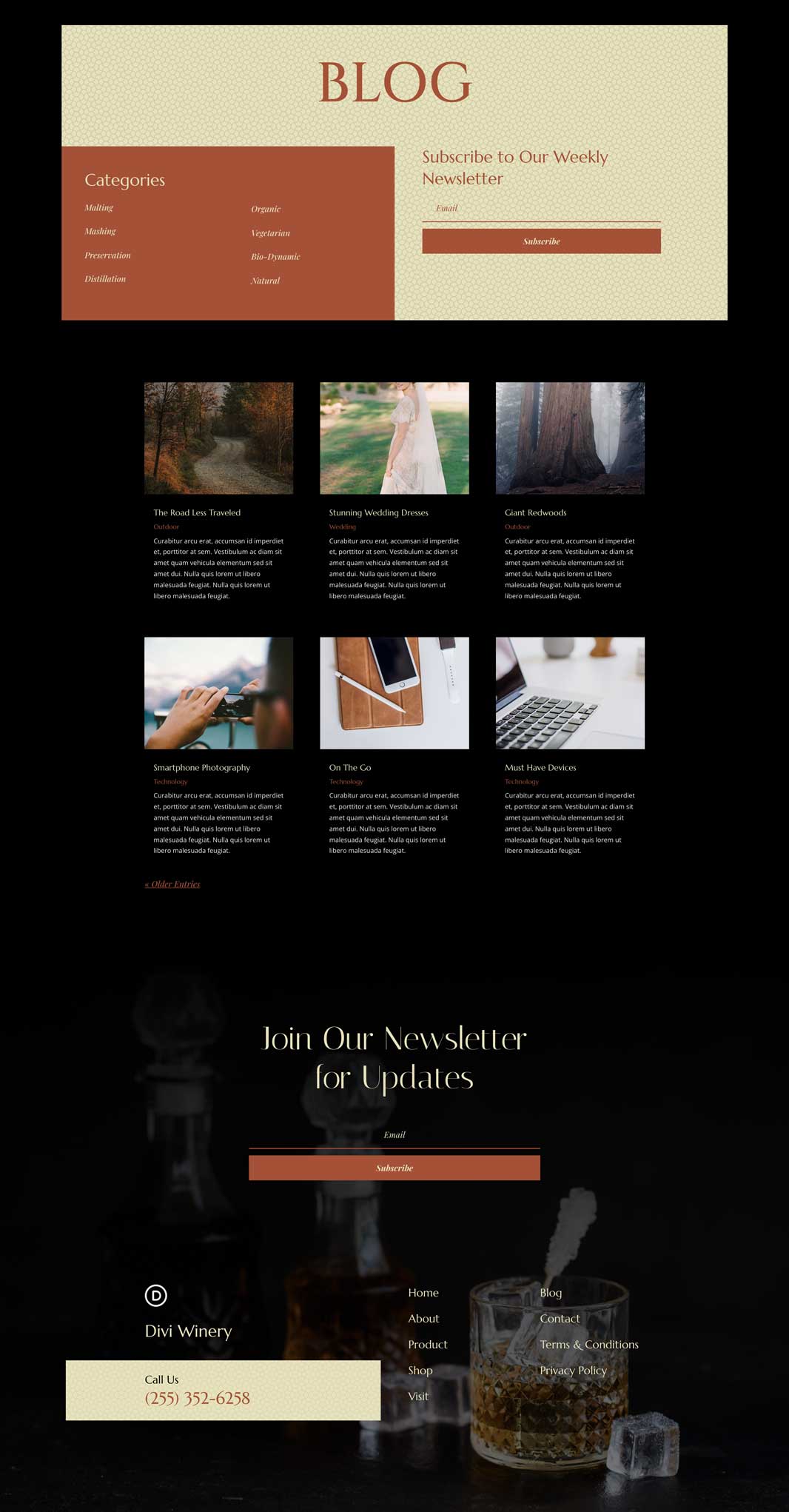 Whiskey Blog Page Divi Layout by Elegant Themes