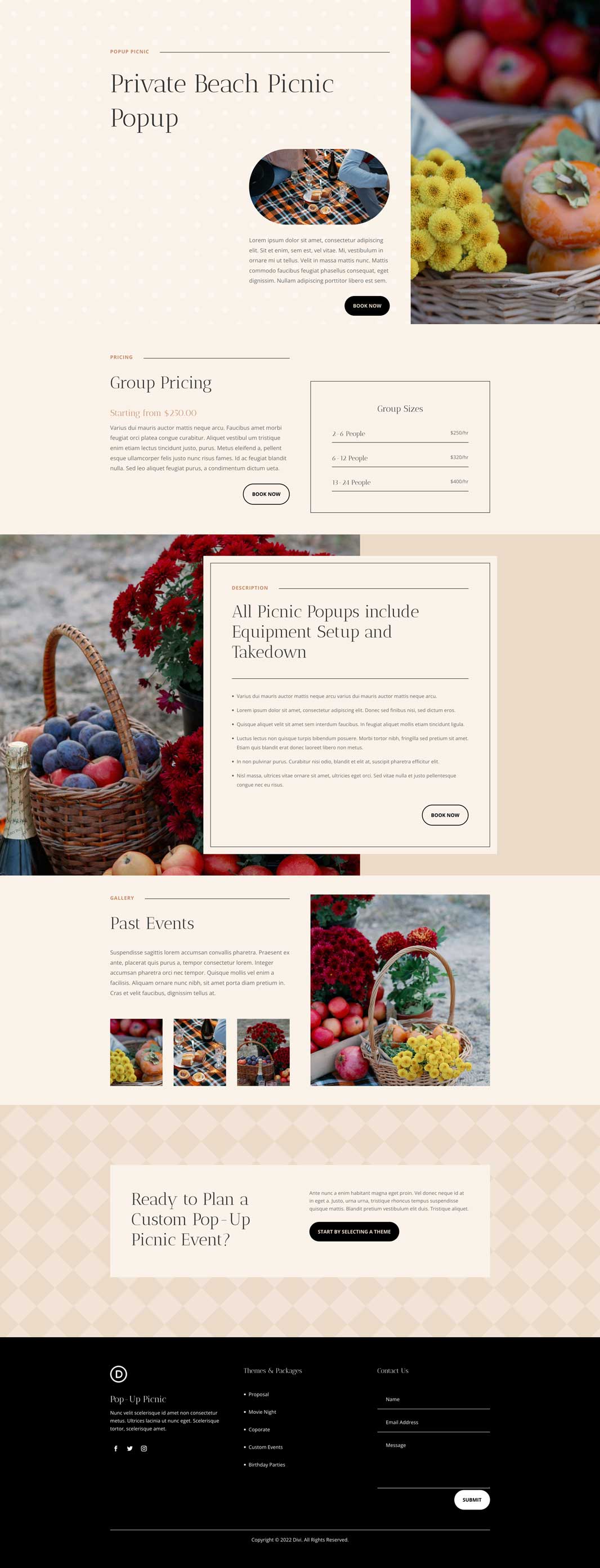 Popup Picnic Service Page Divi Layout by Elegant Themes