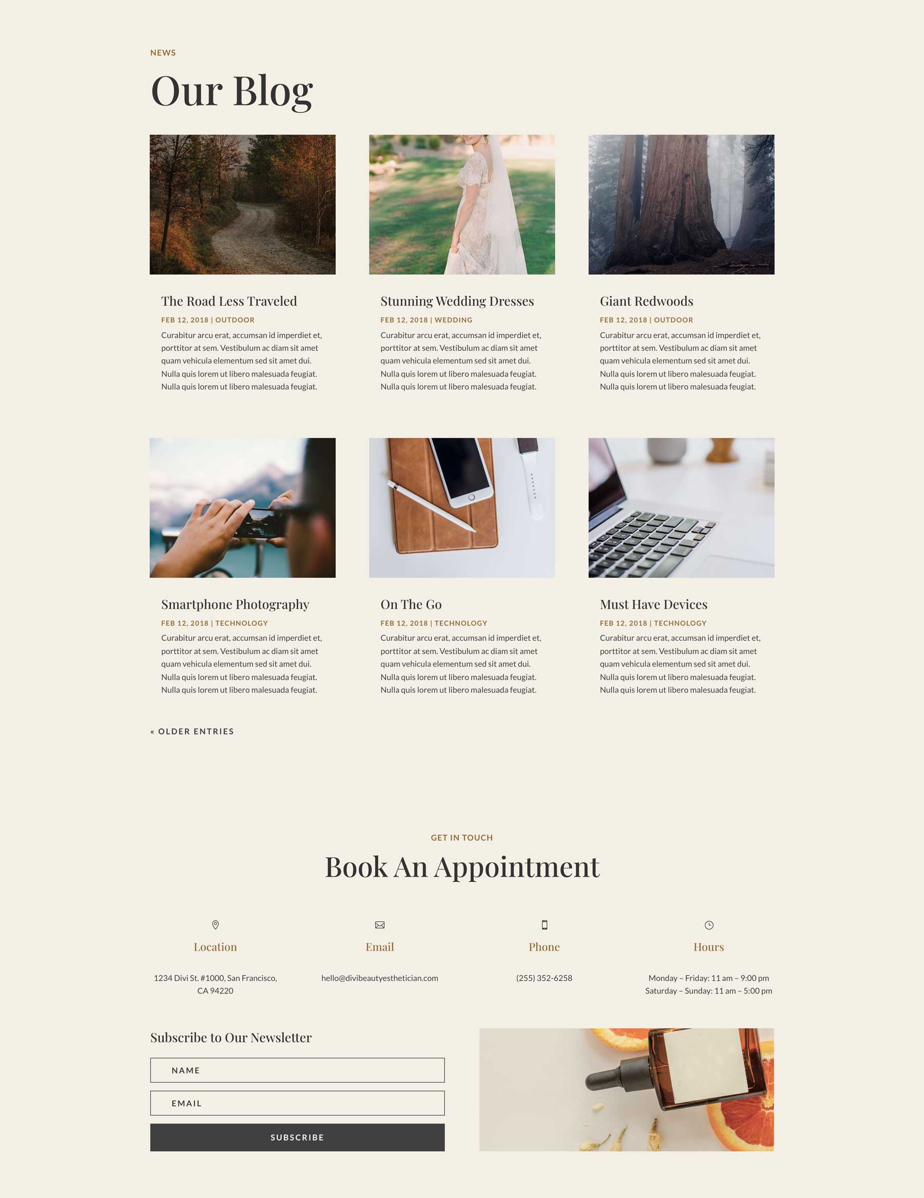 Esthetician Blog Page Divi Layout by Elegant Themes