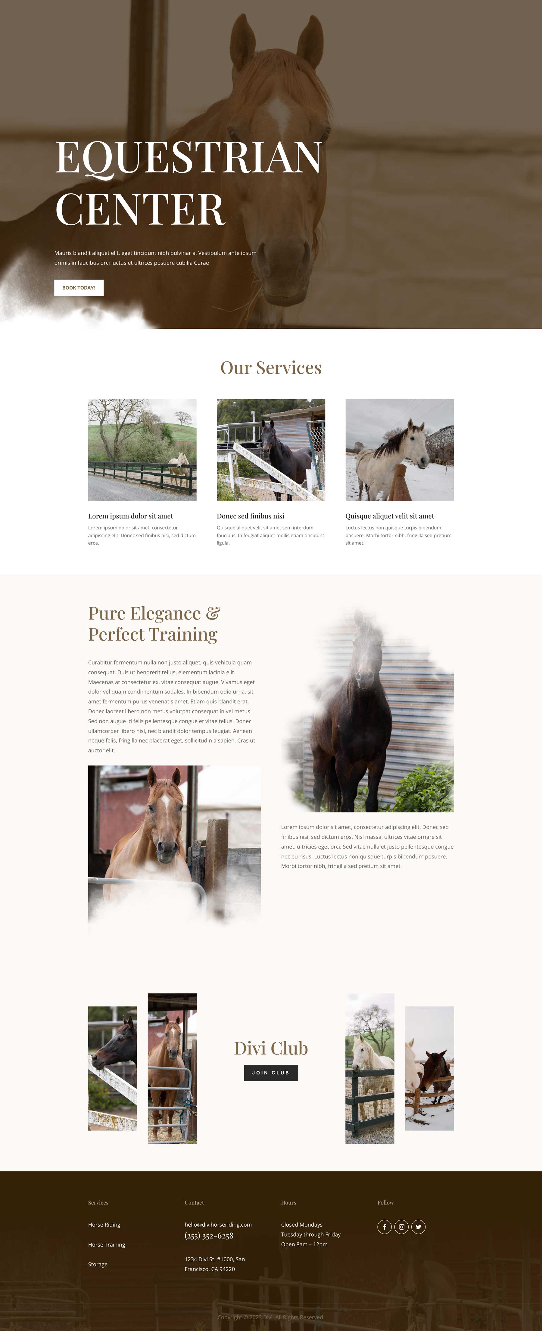 Horse Riding Home Page Divi Layout by Elegant Themes
