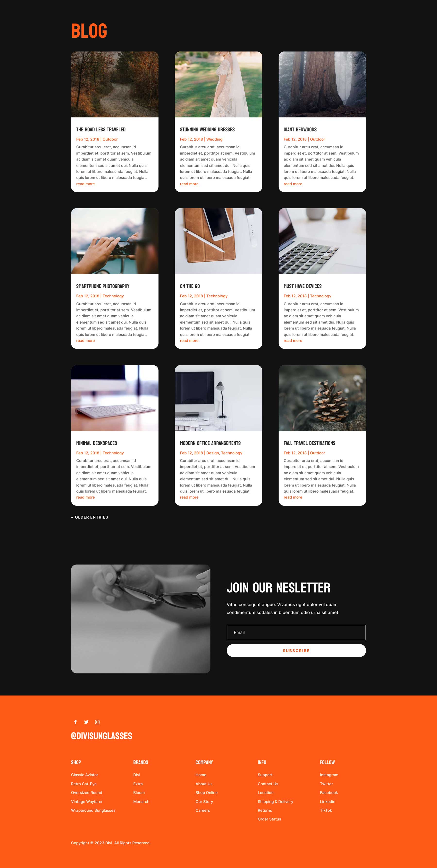 Sunglass Shop Blog Page Divi Layout by Elegant Themes