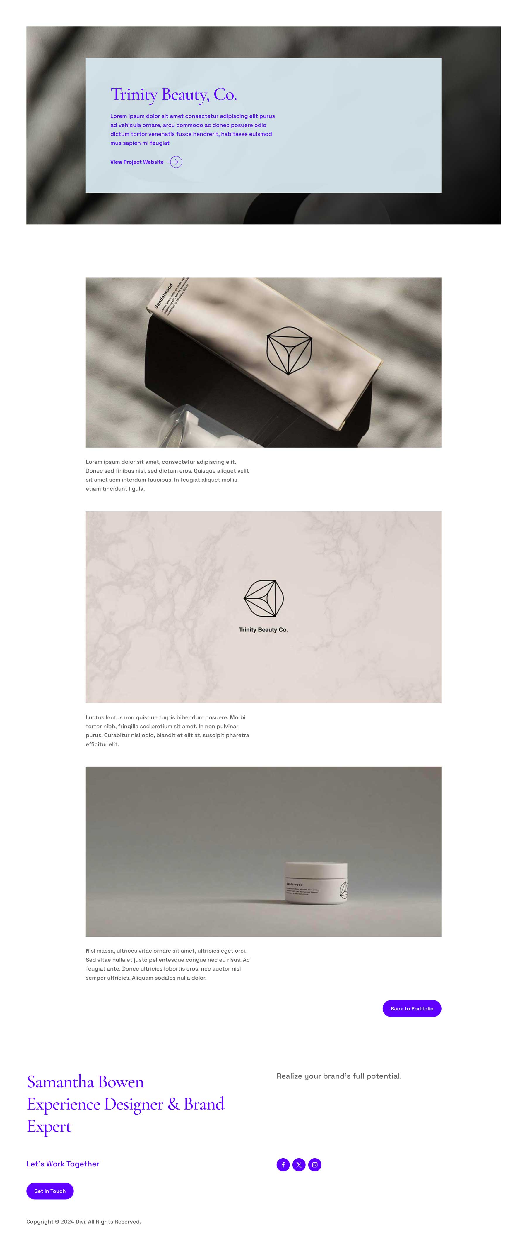Creative Director Project Page Divi Layout by Elegant Themes